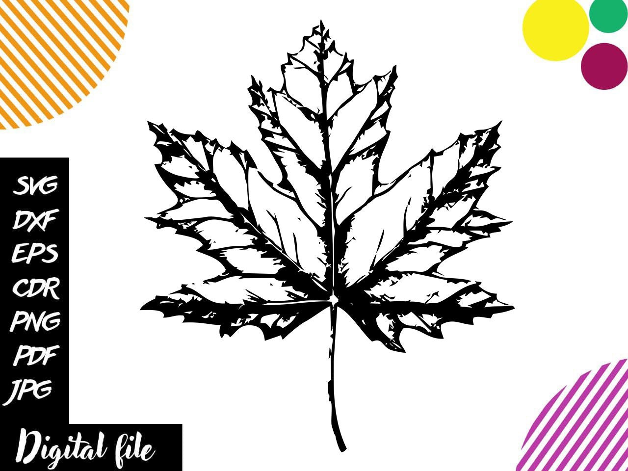 Maple Leaf Outline Png
