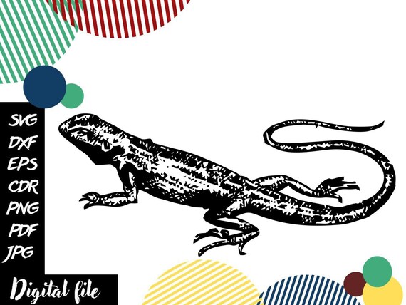 Lizard Reptile Lizard Clipart Lizard Cricut Cameo Lizard Cut - Etsy