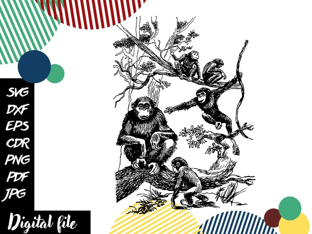 Homo Sapiens Monkey Macaque Homo Sapiens Evolution Development - Etsy