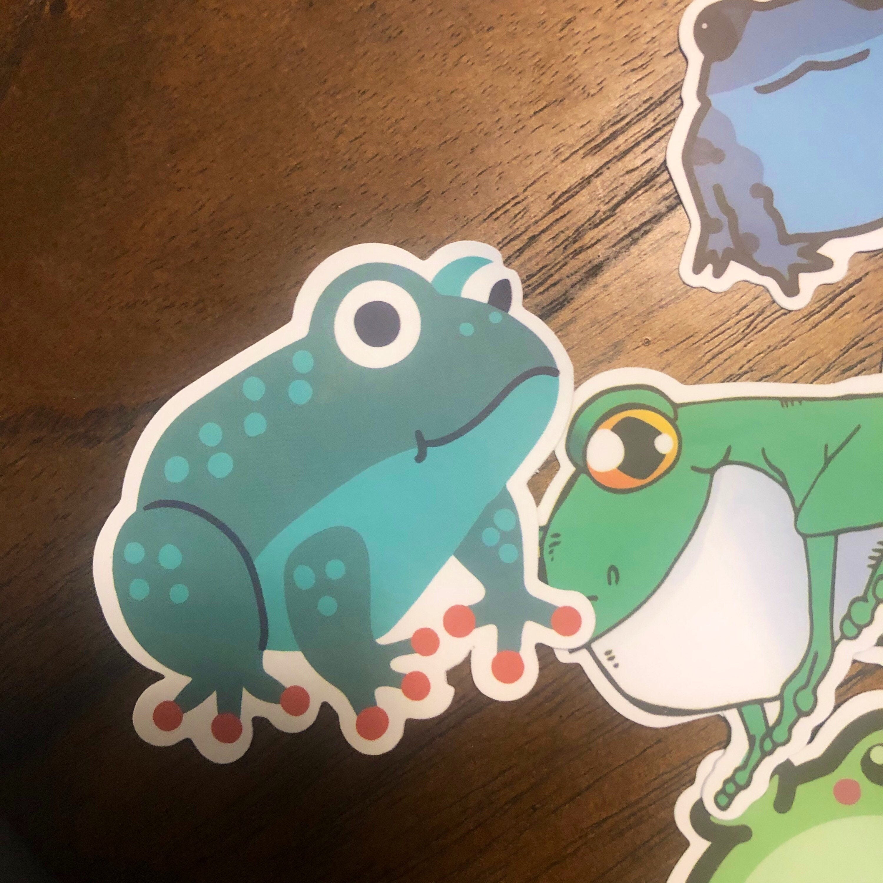 Frog Sticker Mystery Bag. Cottagecore Frogcore Fairycore | Etsy