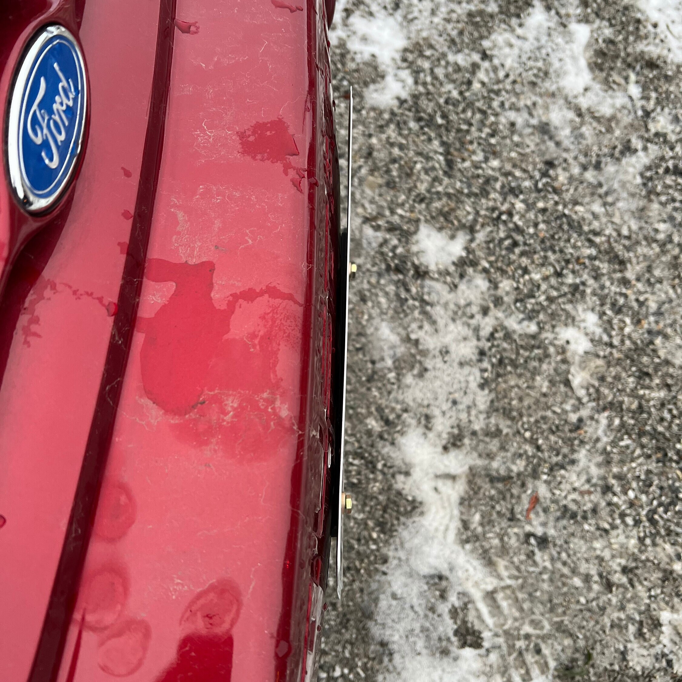 87-93 Ford LX Foxbody Mustang Front License Plate Bracket - NO Drilling ...