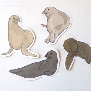 Sea Lion Sticker Pack - Etsy