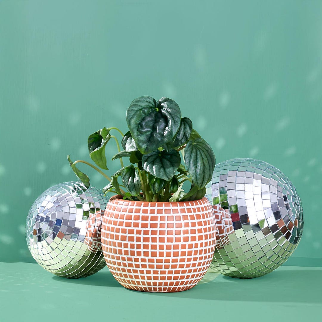 Medium Disco Ball Ceramic Planter - Terracotta - Etsy