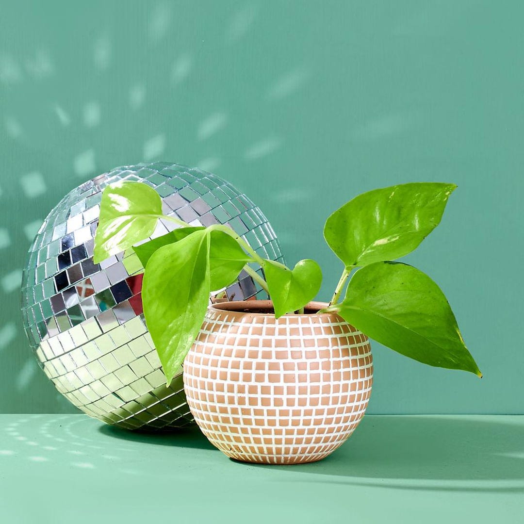 Small Disco Ball Ceramic Planter - Sand - Etsy