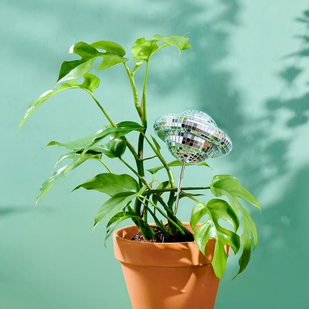 Disco Planet | Disco Ball Plant Stakes | Disco Ball Decor | Dopamine ...