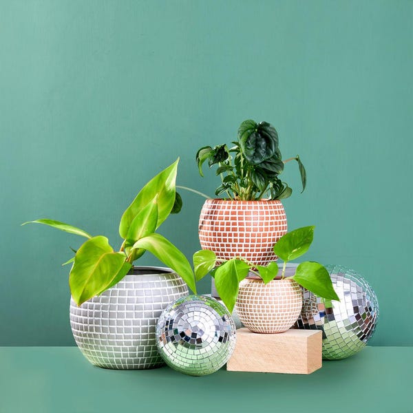 Disco Ball Planter - Etsy