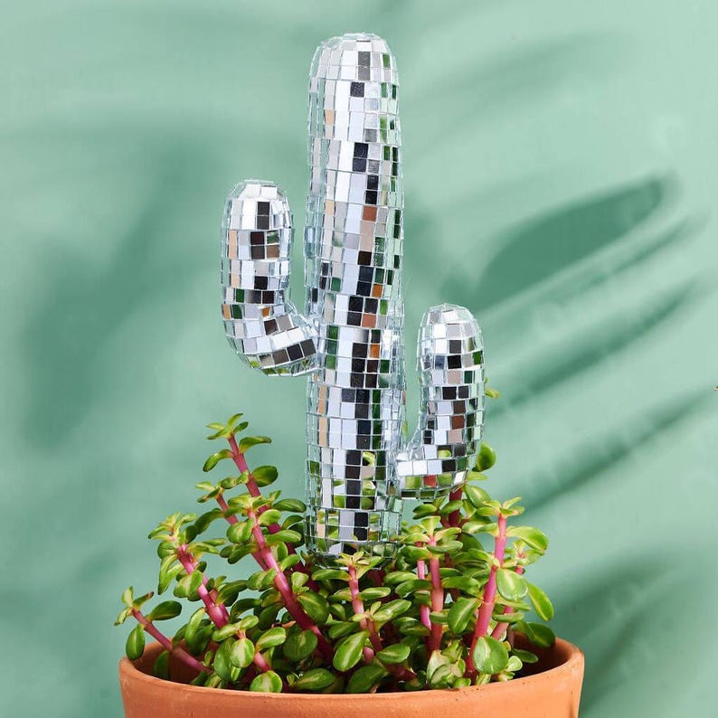 Disco Cactus - Disco Ball Decorative Plant Stakes - Etsy