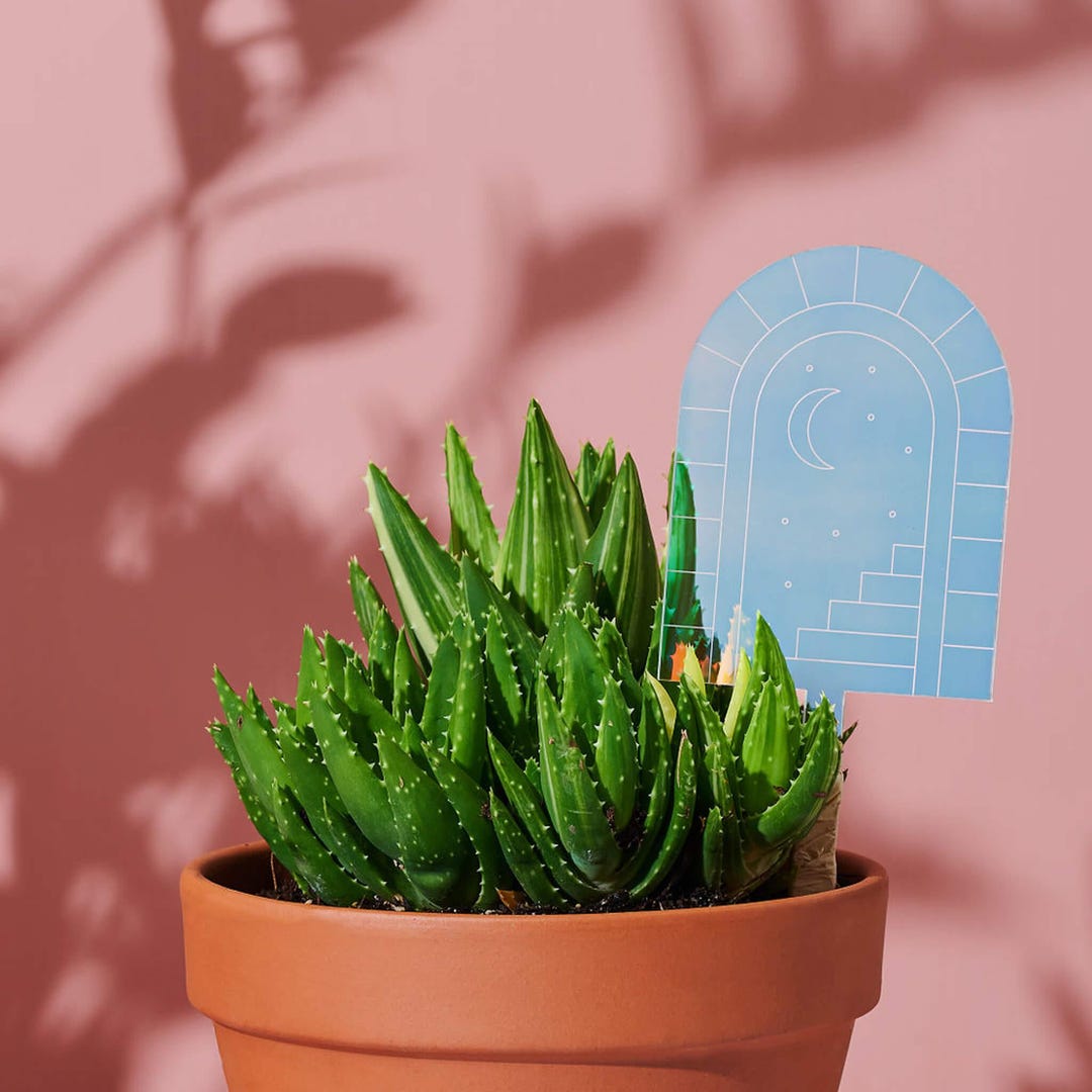 Cosmic Staircase - Decorative Plant Stake Mirror Acrylic - Etsy