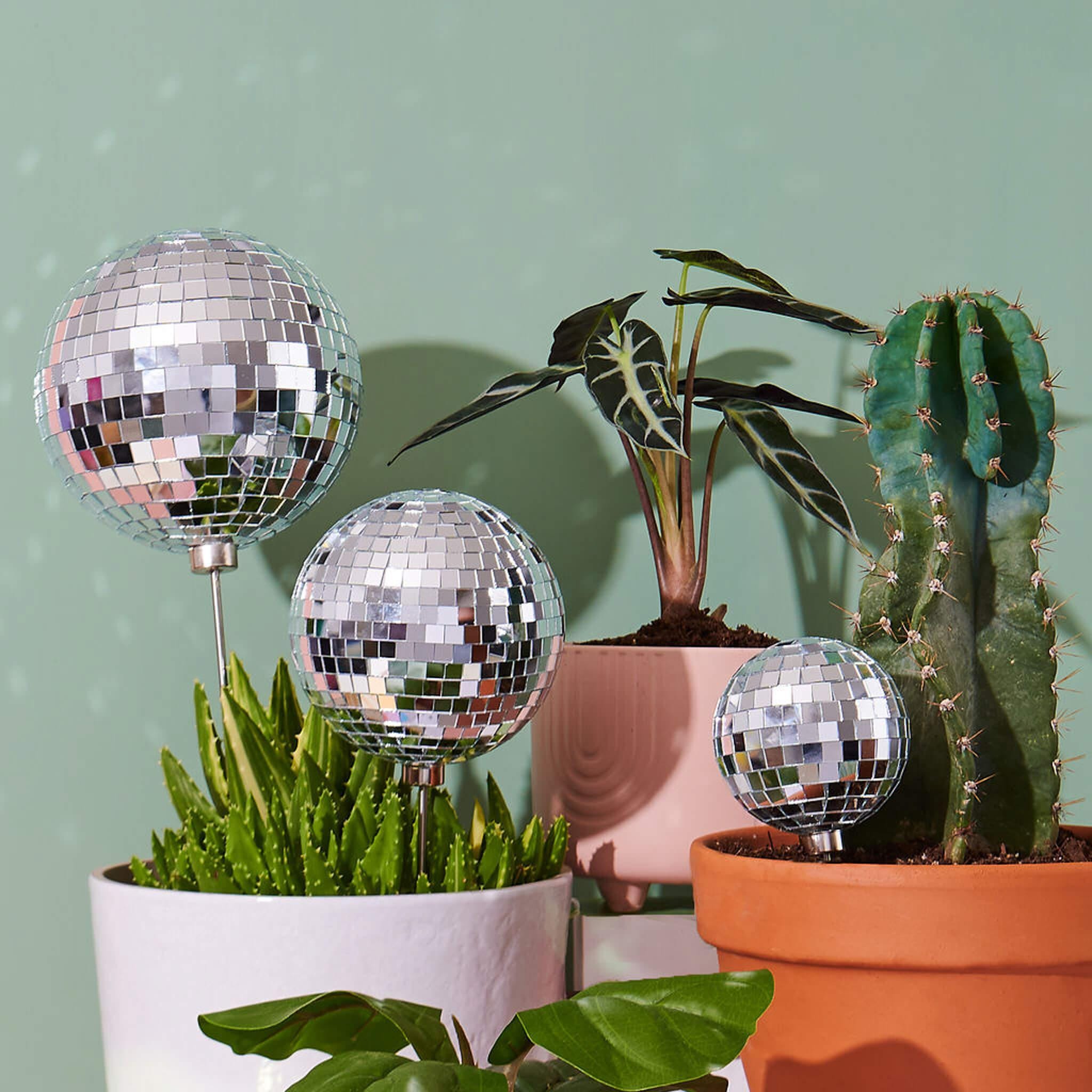 Disco Daddy - 6" Disco Ball Decorative Plant Stake - Etsy