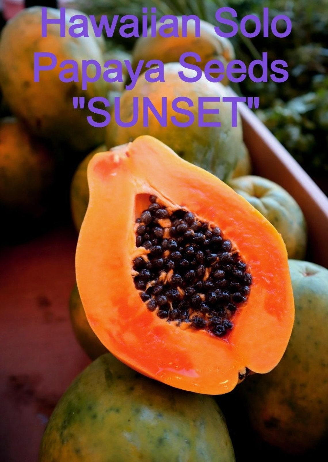 Hawaiian Solo SUNSET Papaya Seeds sans OGM Super Sweet - Etsy France