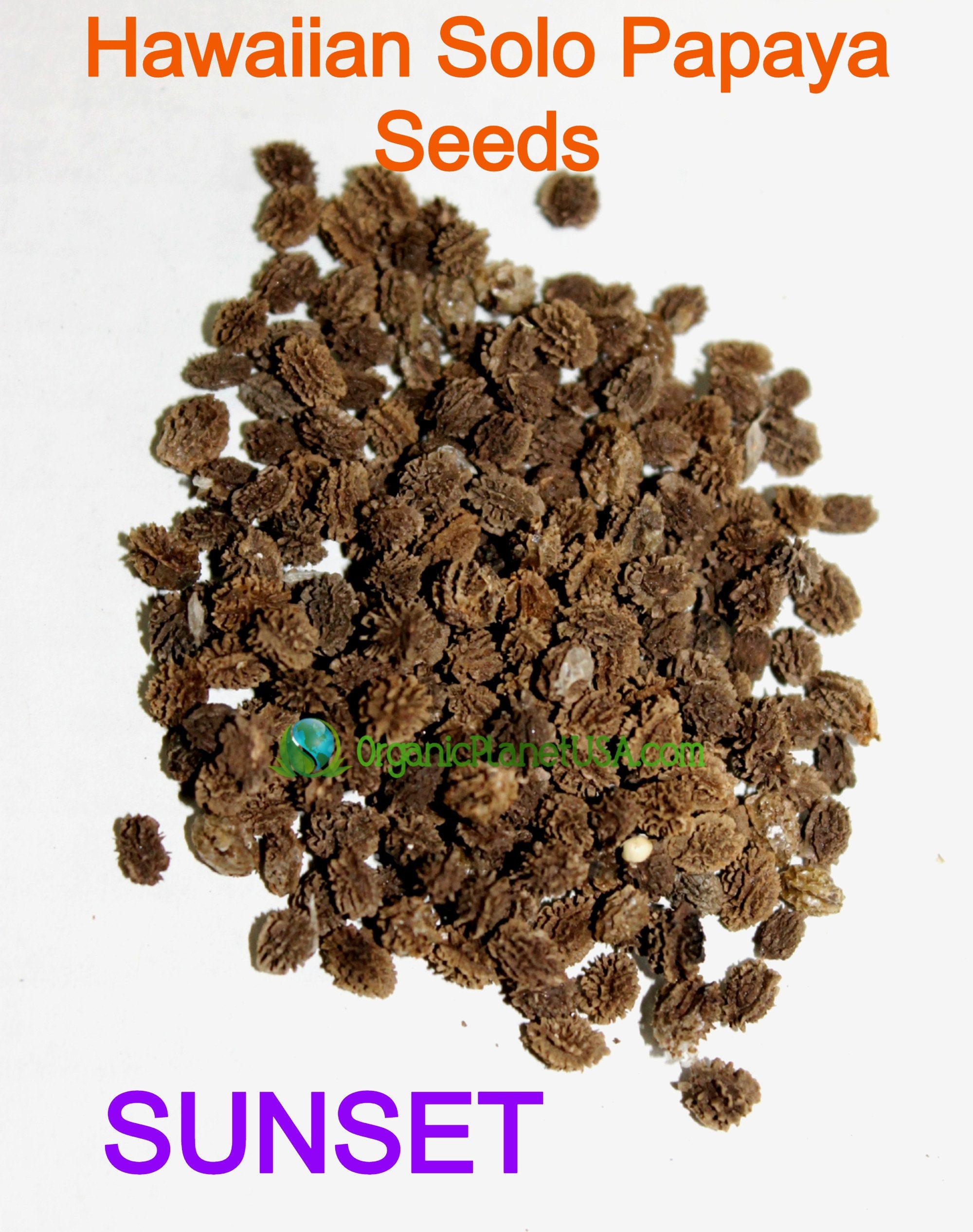 Hawaiian Solo SUNSET Papaya Seeds Non-gmo Super Sweet - Etsy