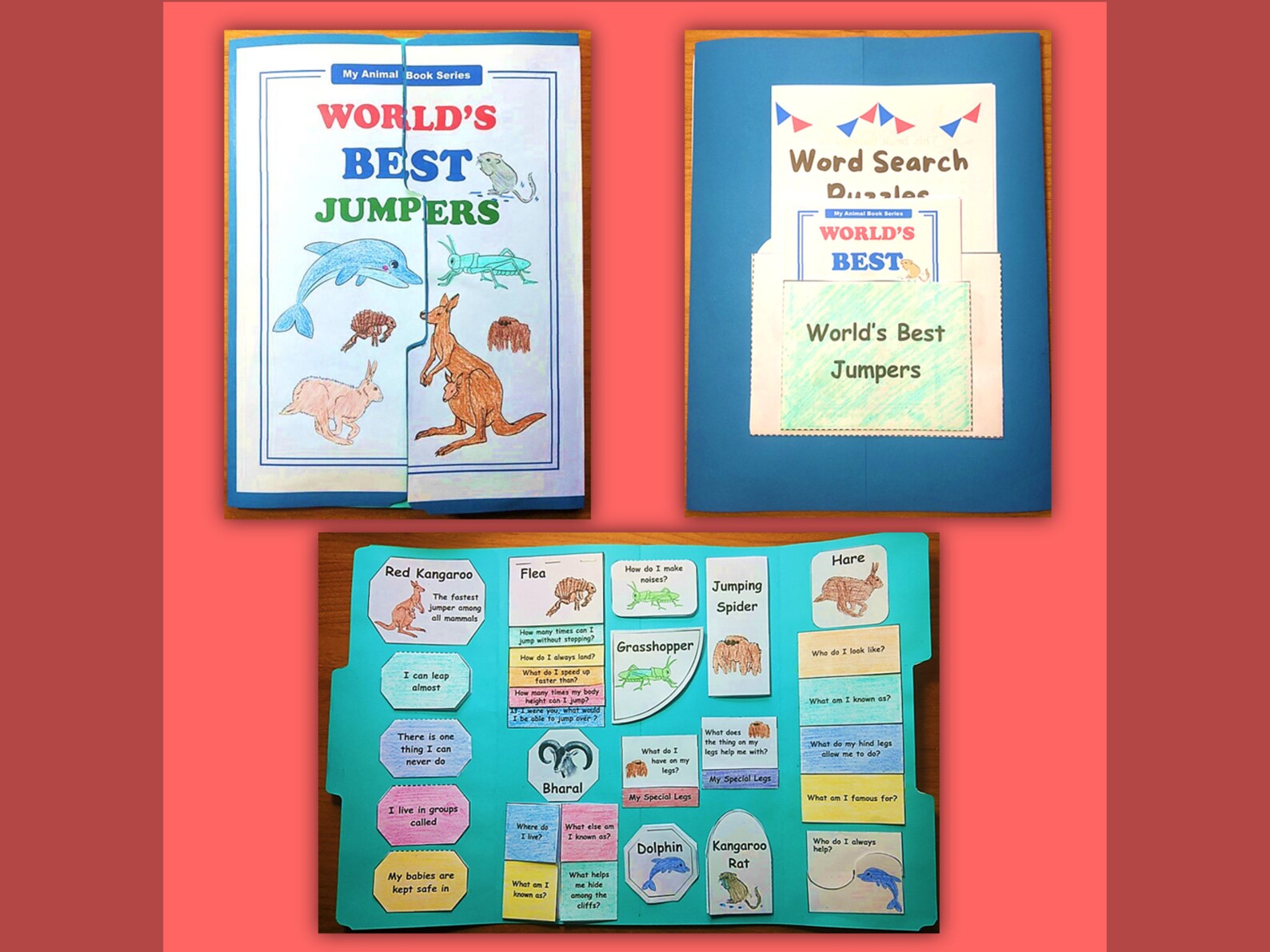 My Animal Book Series 1 - Lapbook, Word Search Puzzles, and Reading ...