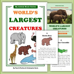 My Animal Book Series 2 - Lapbook, Word Search Puzzles, and Reading ...