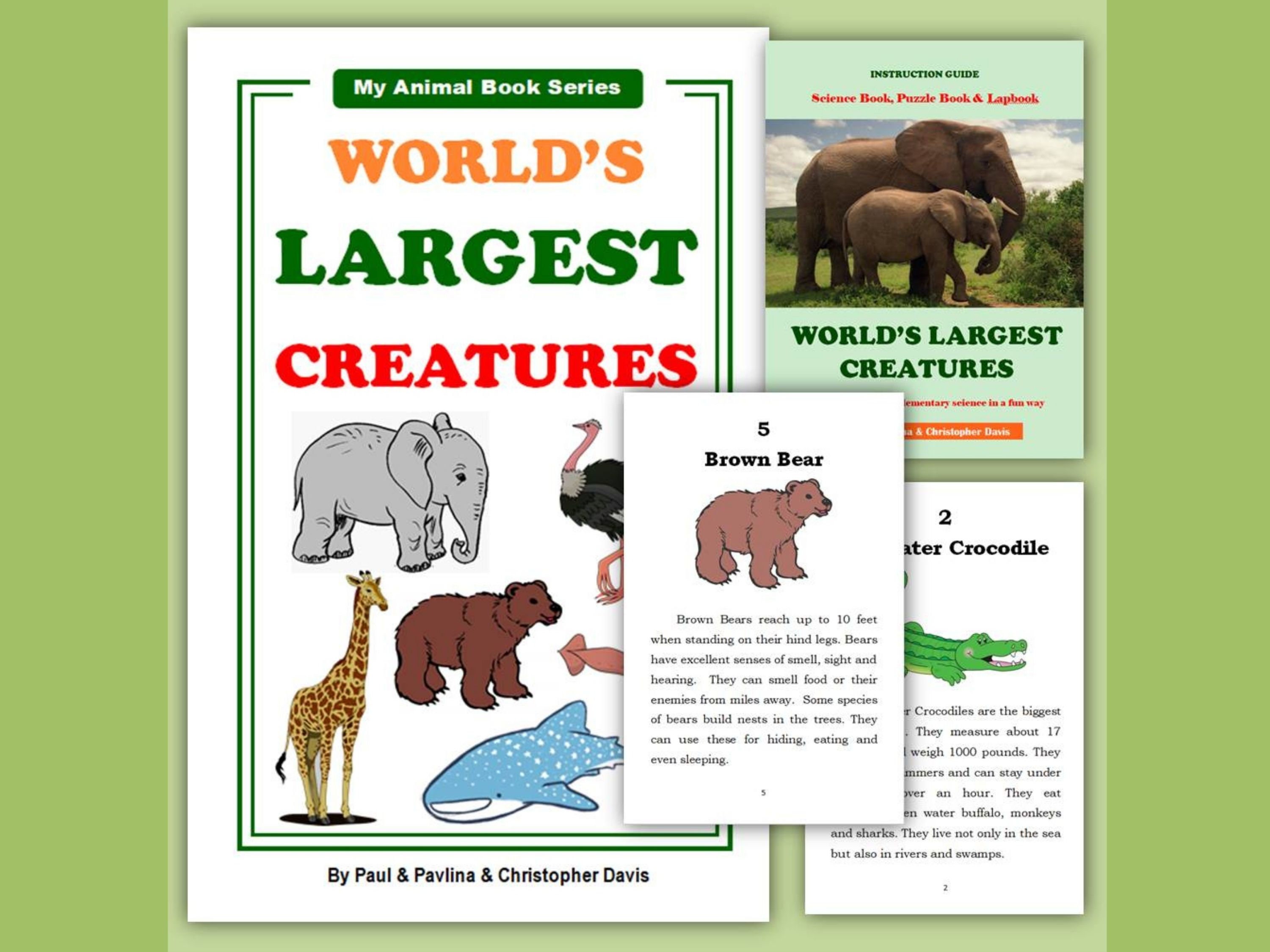 My Animal Book Series 2 - Lapbook, Word Search Puzzles, and Reading ...