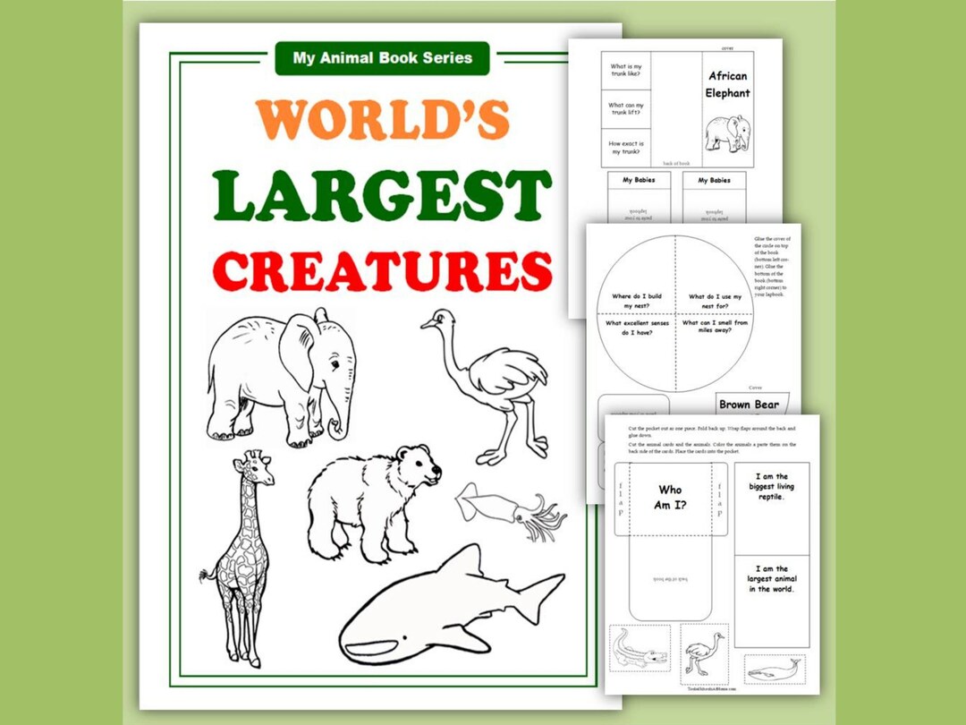 My Animal Book Series 2 - Lapbook, Word Search Puzzles, and Reading ...