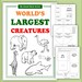 My Animal Book Series 2 - Lapbook, Word Search Puzzles, and Reading ...
