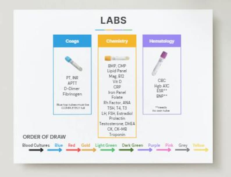 Lab Draw Quick Reference (postcard Size) - Etsy