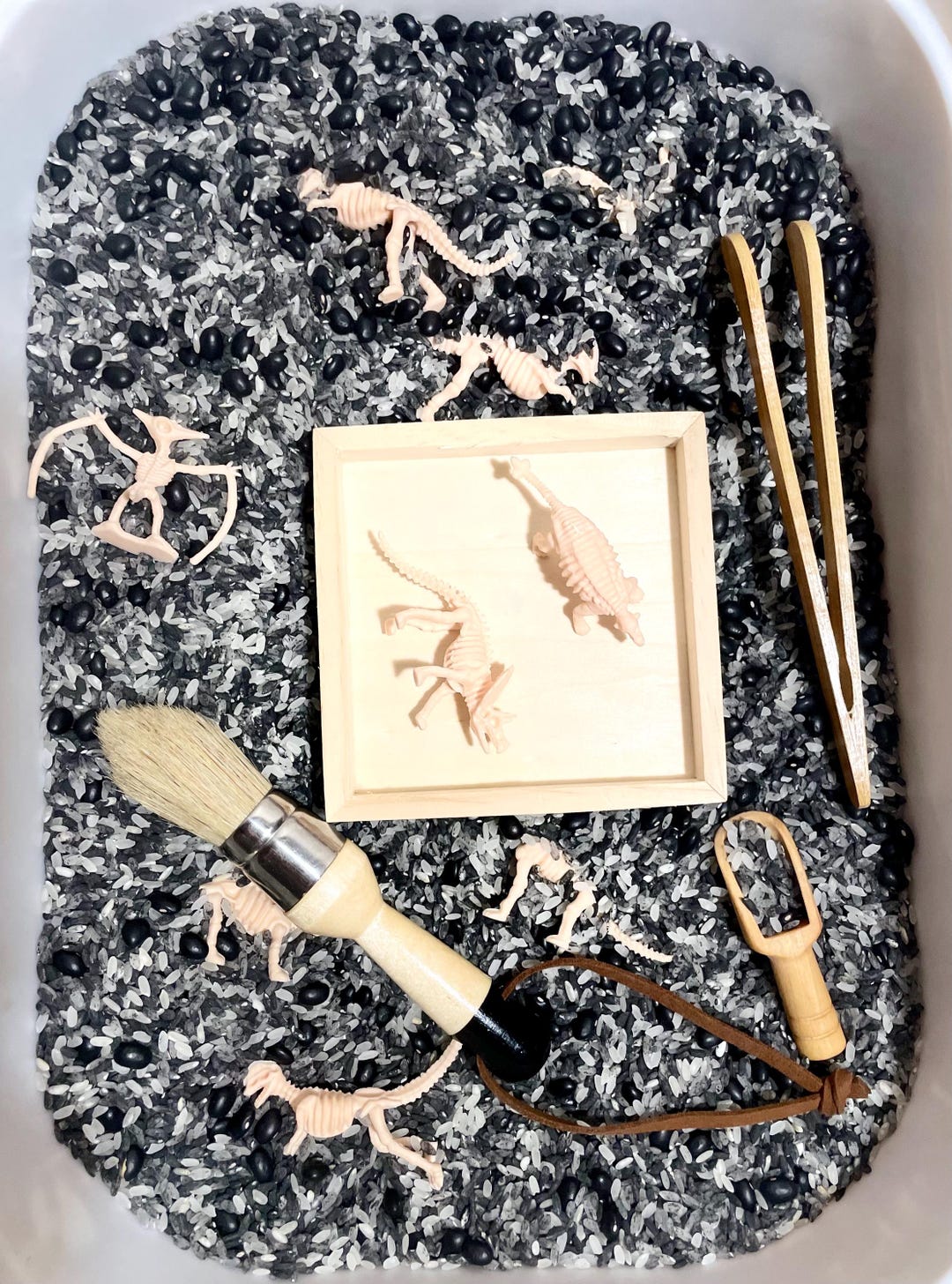 Dino Dig Sensory Bin Filler - Etsy