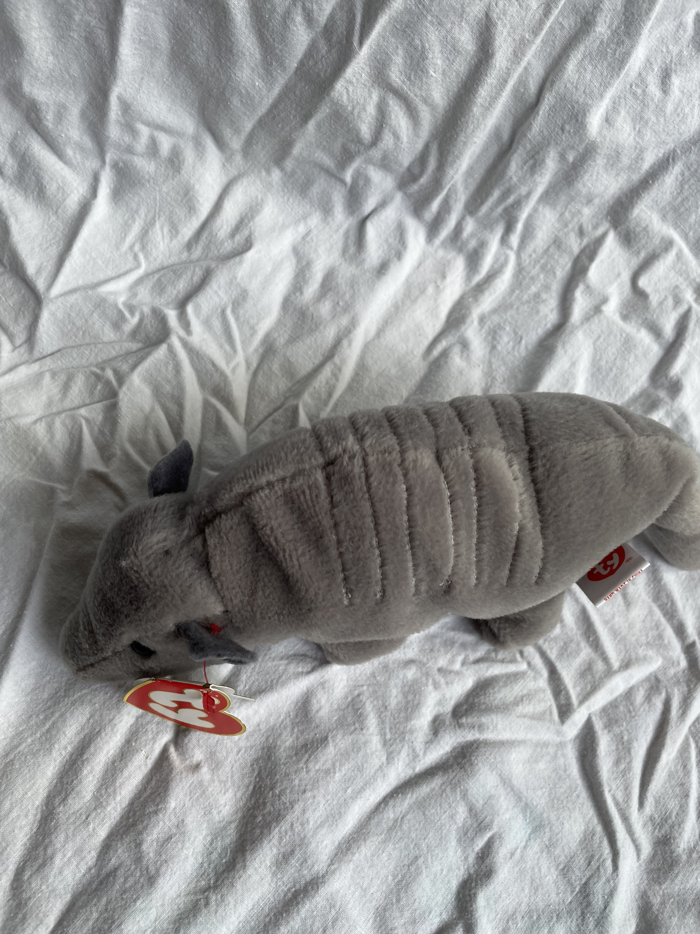 Tank the Armadillo Without a Shell (7 Lines), 3rd Generation Tags - Etsy