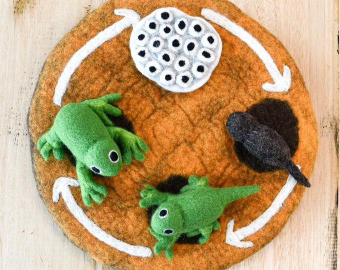 Frog Life Cycle Felt Story Board Pattern - DIY Downloadable Pattern ...