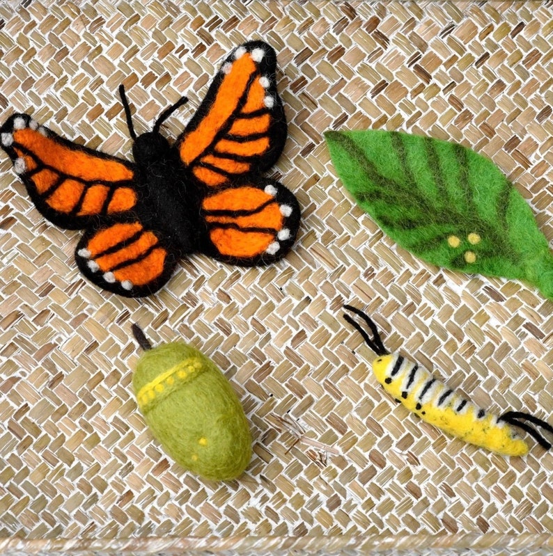 Wool Felted Lifecycle of a Butterfly, Felt Gift Box, Butterfly Ornament ...