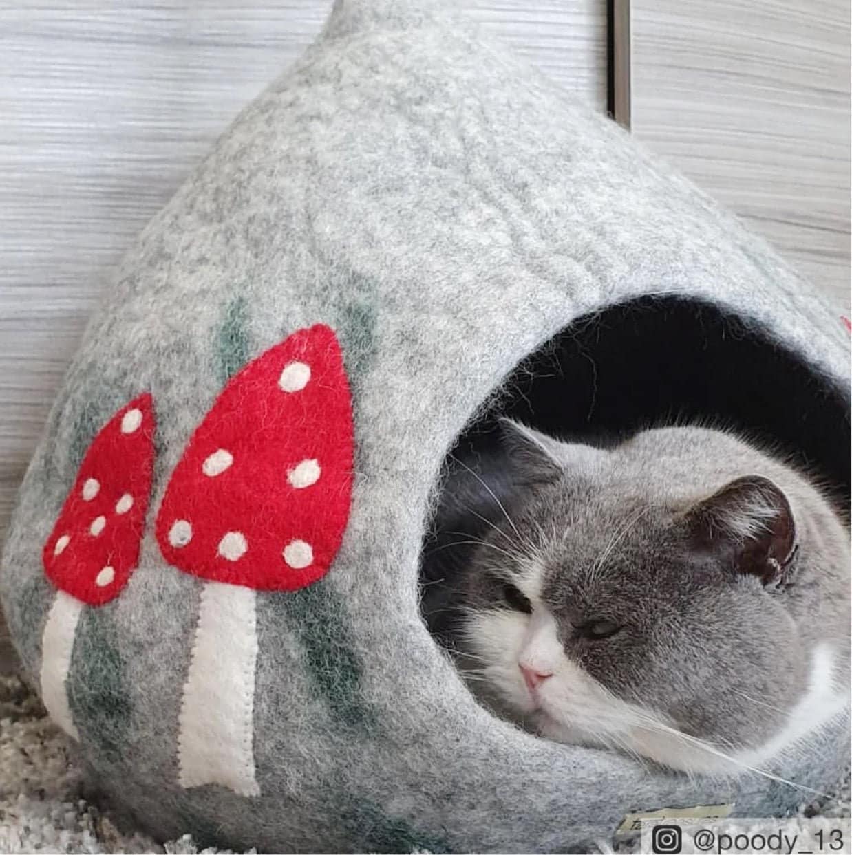 Cat Mushroom Design Cave, Wool Felt Cat Cocoon, Cozy Pet Bed for Cats ...