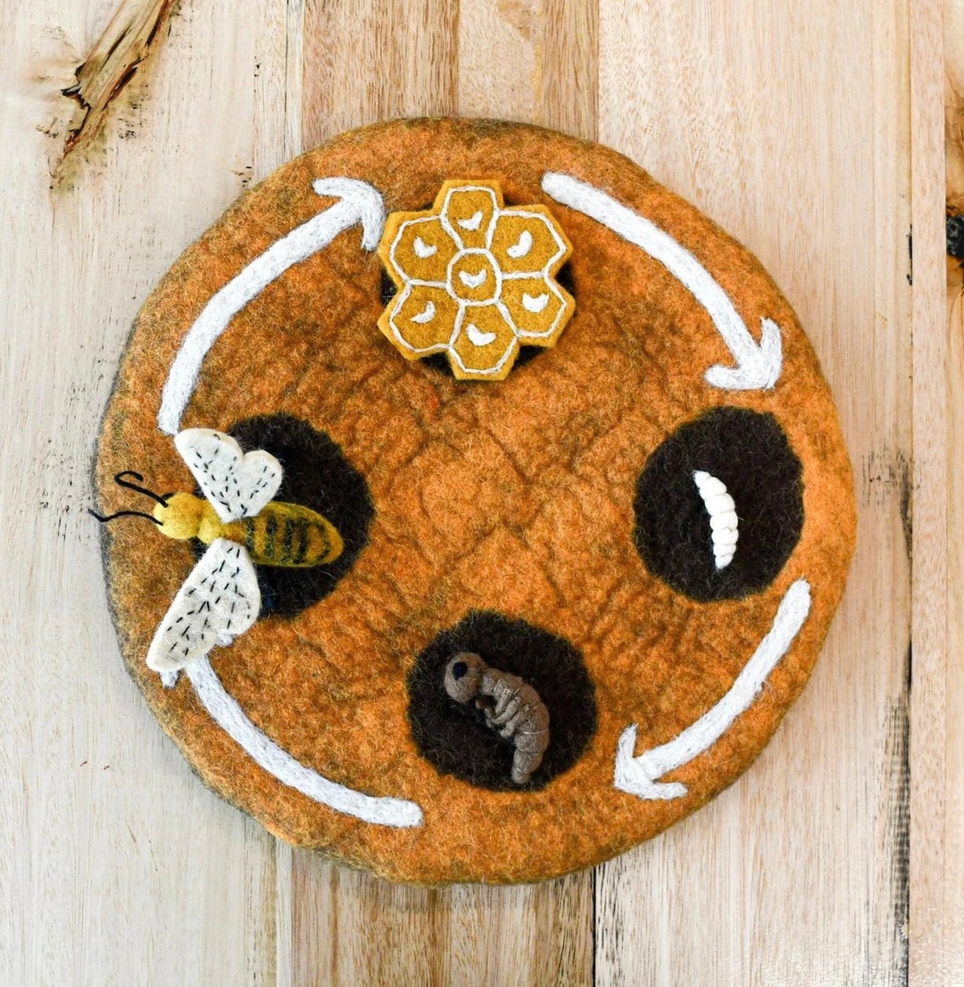 Wool Felt Honey Bee Life Cycle, Bee Life Cycle Toy, Life Cycle of A ...