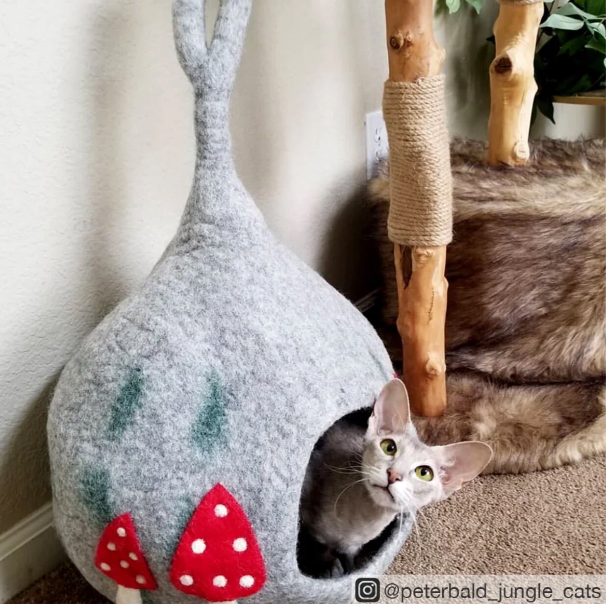 Cat Mushroom Design Cave, Wool Felt Cat Cocoon, Cozy Pet Bed for Cats ...
