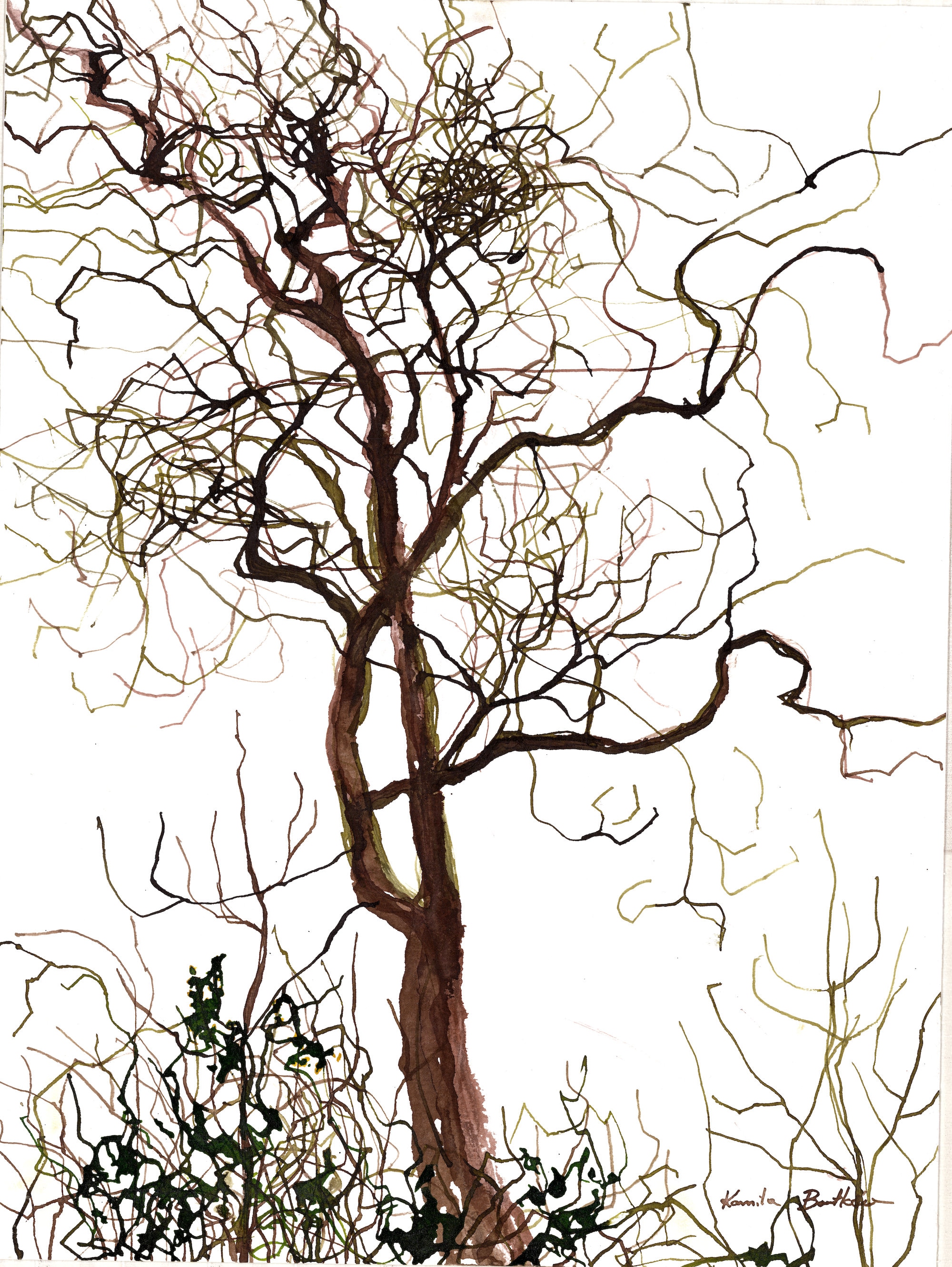 Unique Ink Drawing of the Leafless Tree Original Handmade - Etsy