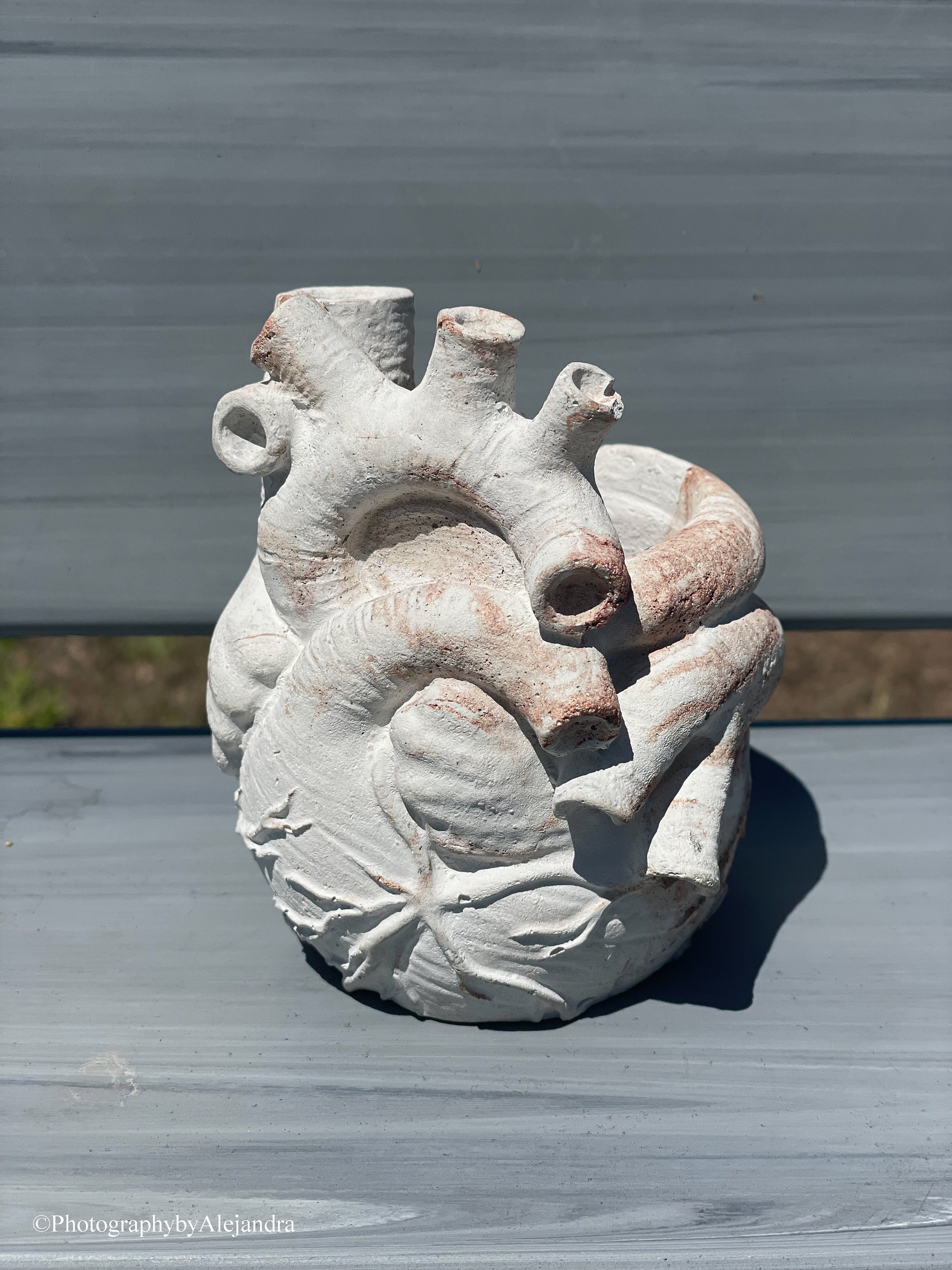 Heart of David With Air Plant - Etsy