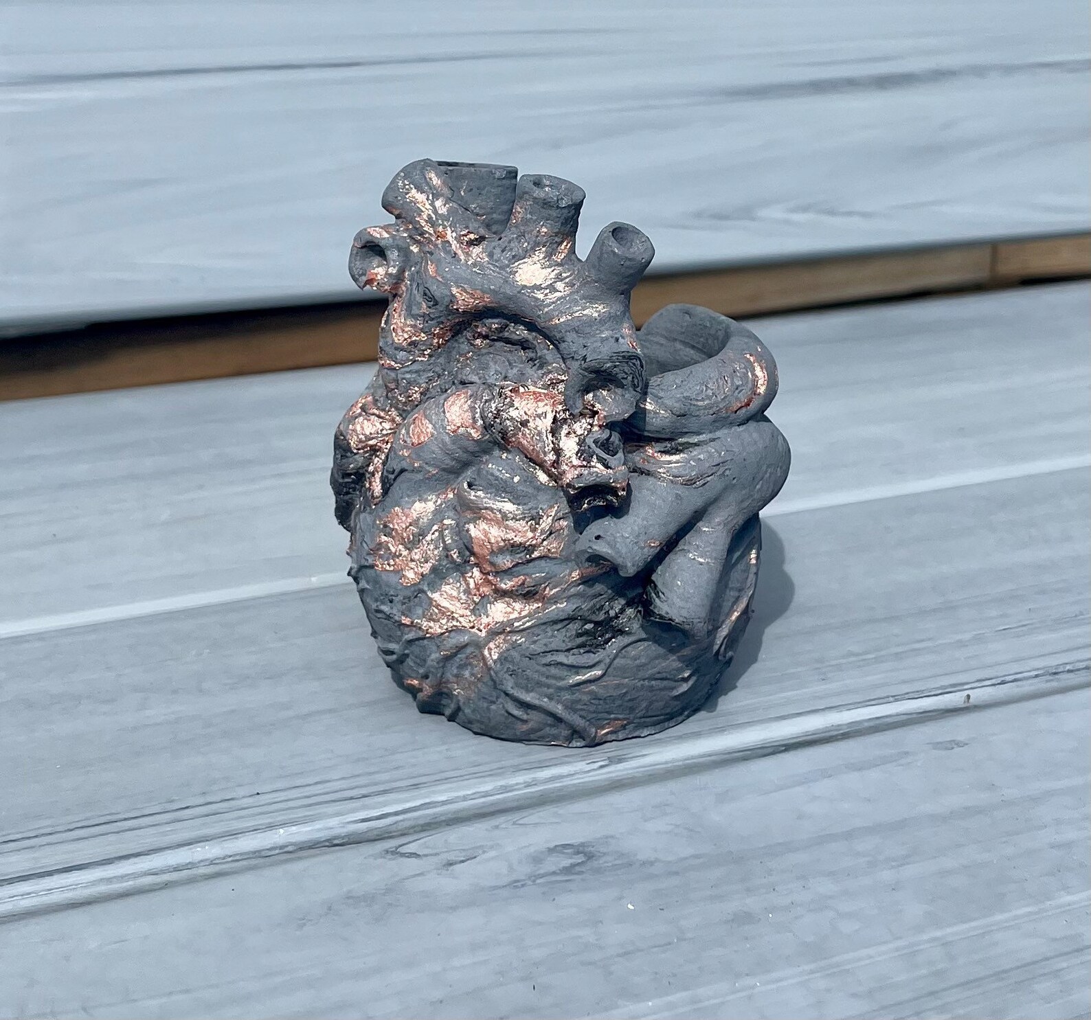 Heart of David With Air Plant - Etsy