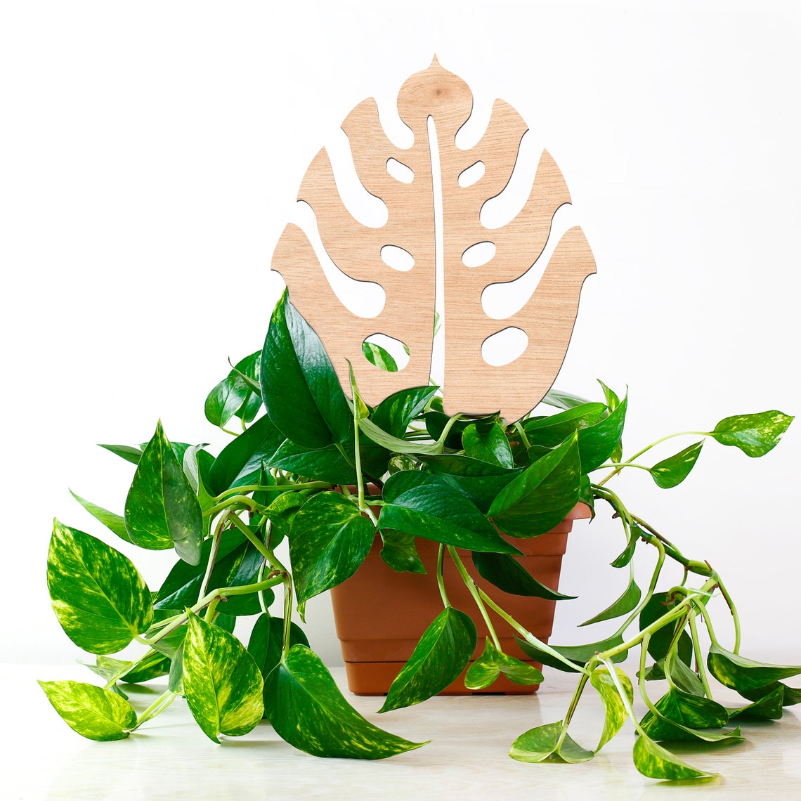 Tropical Plant SVG - Plant Trellis for Indoor Plant - Plant Pot Trellis ...
