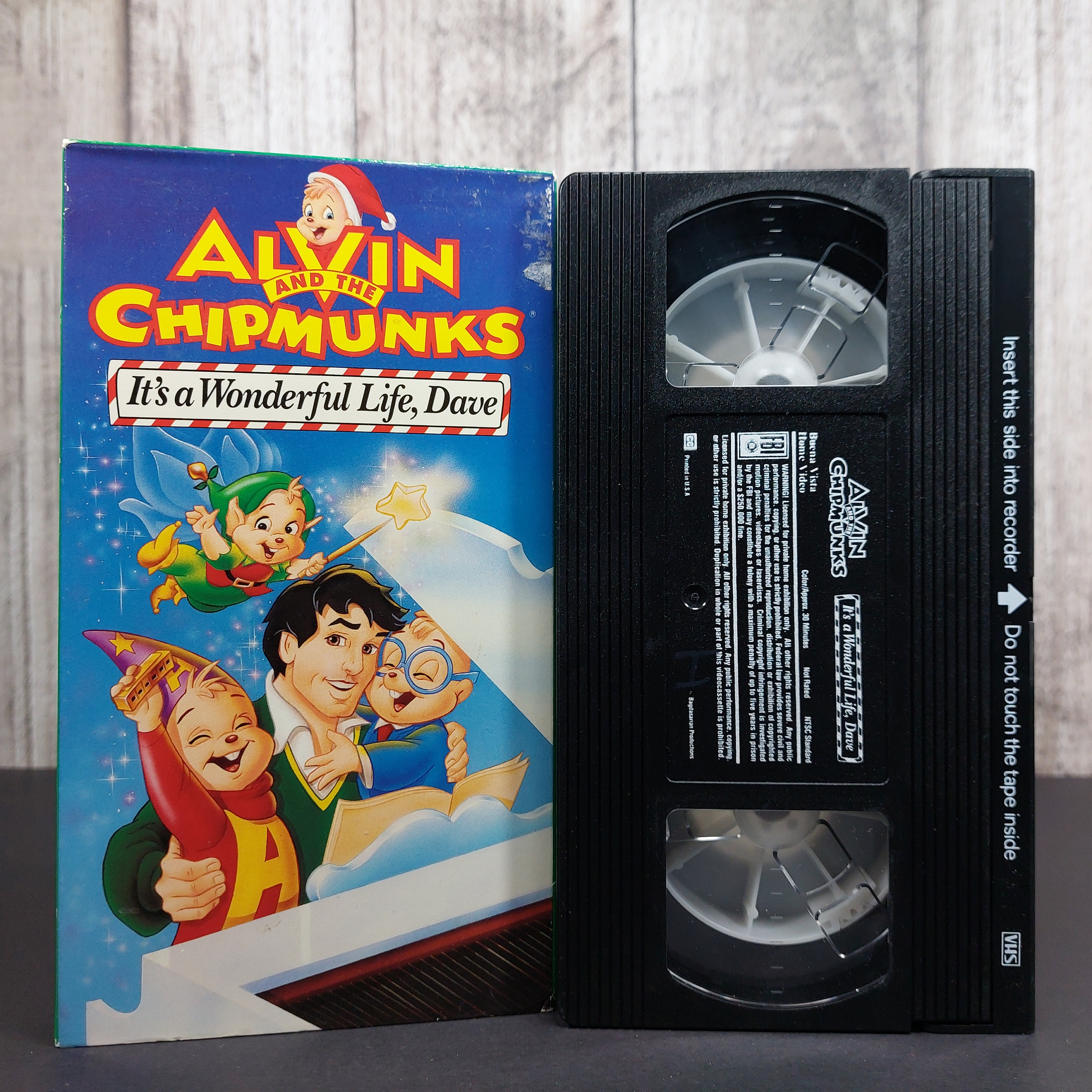 Alvin And The Chipmunks Stocking