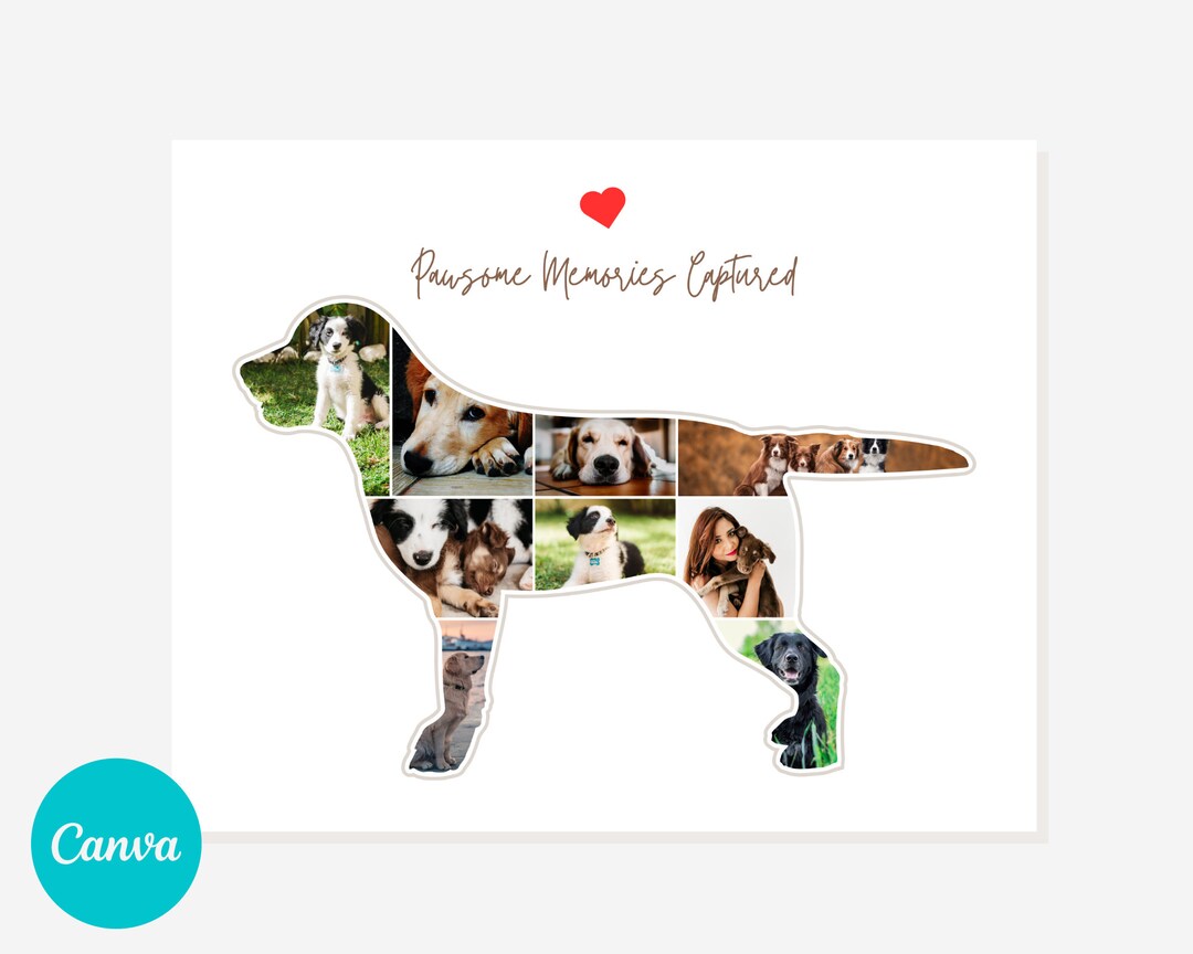 Easy Drag and Drop Pet Dog Photo Collage - DIY on Canva. Easy Drag and ...