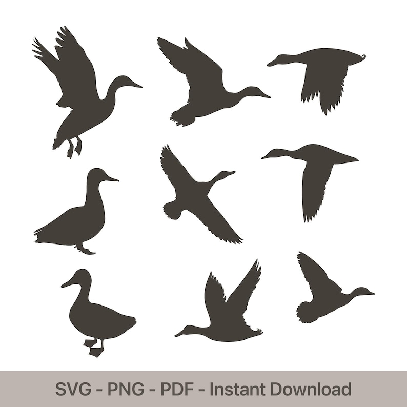 Duck SVG Bundle PNG PDF | Cute Duck Clipart Pack | Farm Animal Svgs for ...