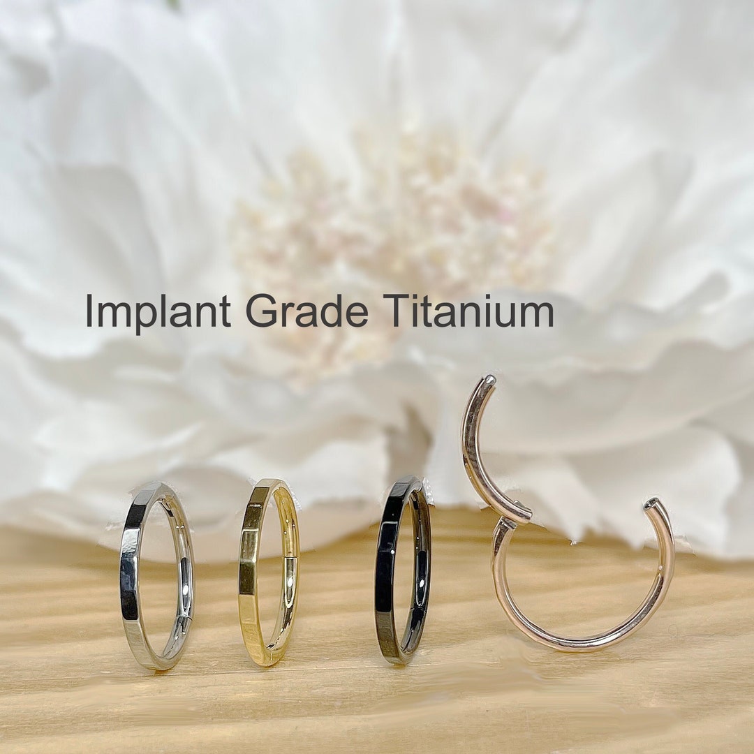 Implant Grade Titanium 16G Faceted Hinged Clicker Hoop • Gold Segment ...