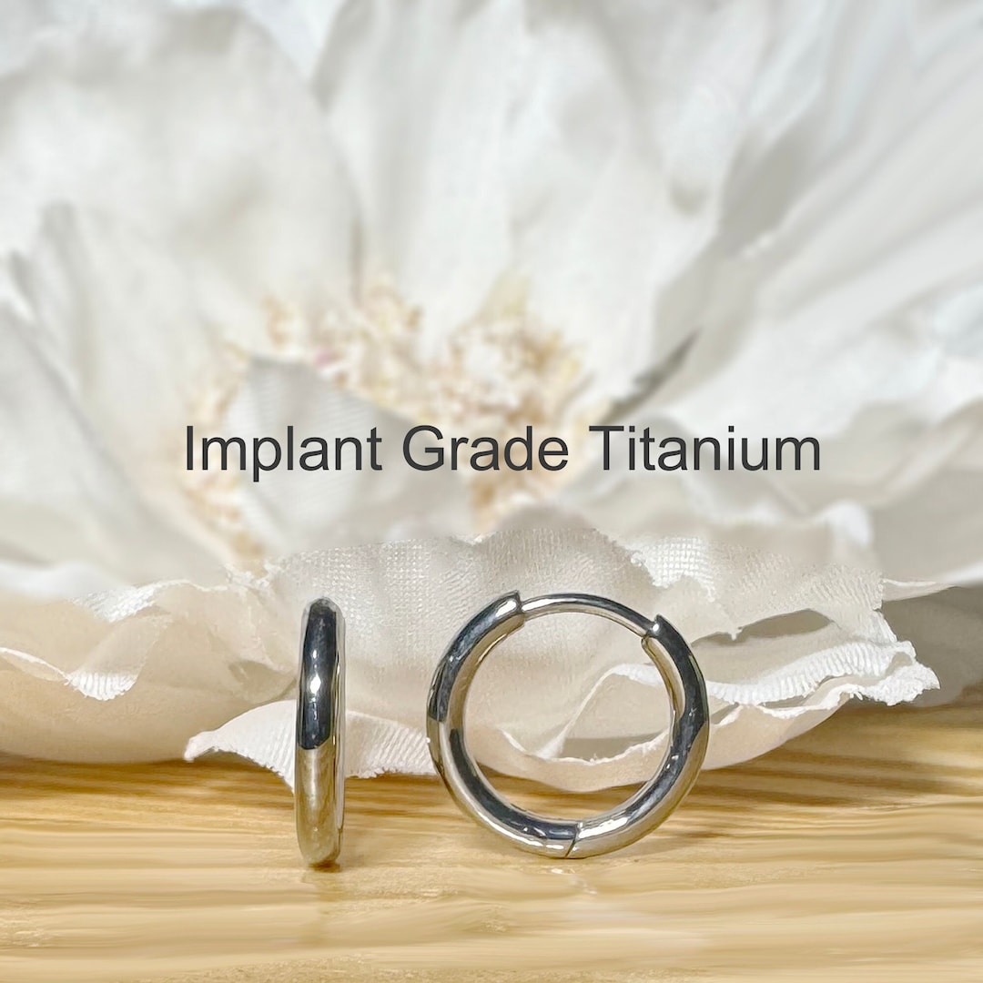 Implant Grade Titanium 2mm Thick Hinged Plain Round Hoop Earrings ...