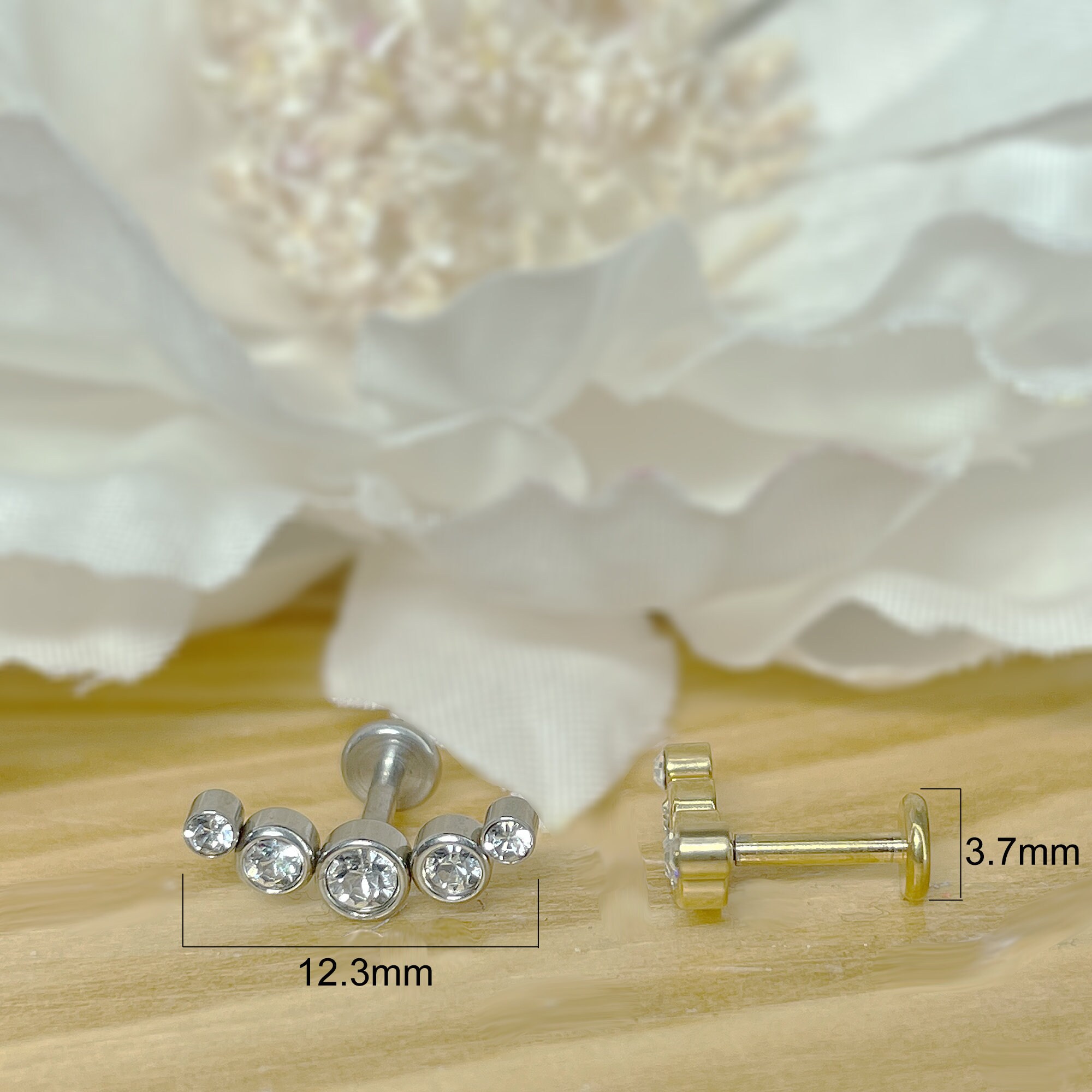 16ga 5-round CZ Bezel Set Curved Internally Threaded Flat Back Labret ...