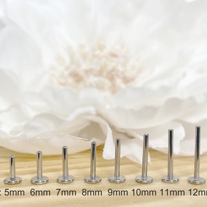 Implant Grade Titanium Threadless Push in 4-marquise CZ Fan Top Labret ...