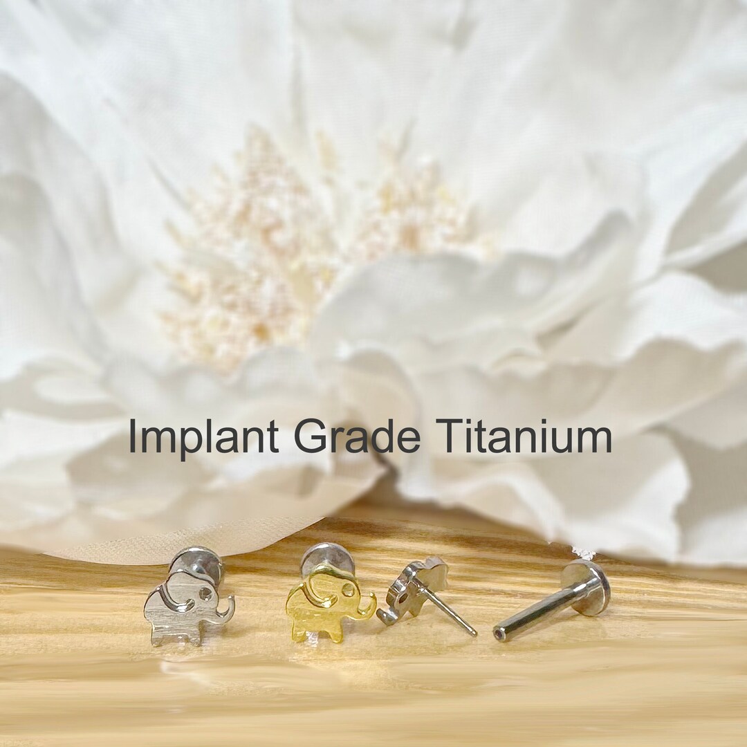 Implant Grade Titanium Threadless Push in Elephant Top Labret Bar Stud ...