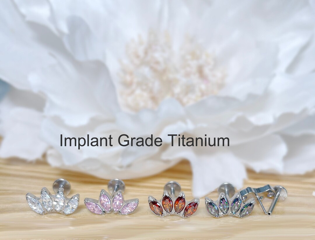 Implant Grade Titanium Threadless Push in 4-marquise CZ Fan Top Labret ...