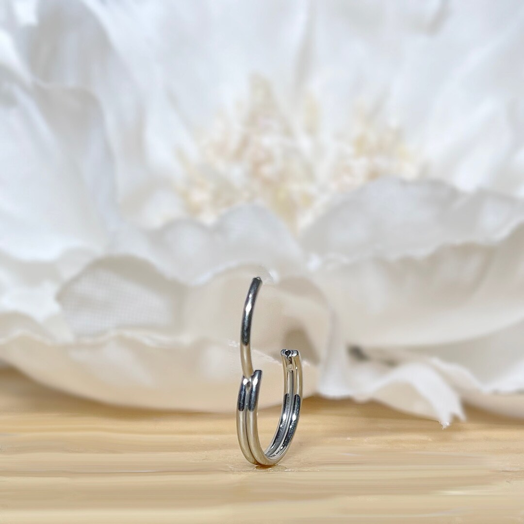 20G Hinged Segment Double Hoop Ring • 316L Surgical Steel - Etsy