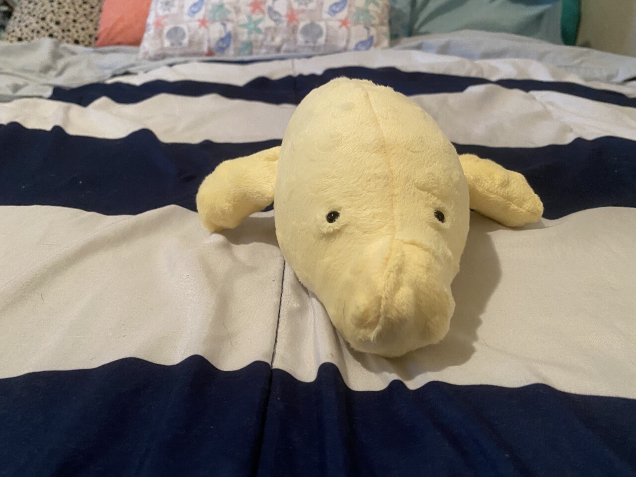 Mini Manatees - Etsy