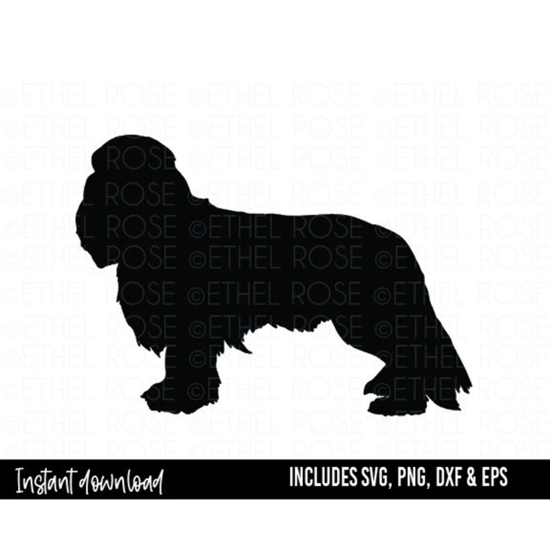 Cavalier King Charles Spaniel Silhouette Outline SVG Cricut, Silhouette ...