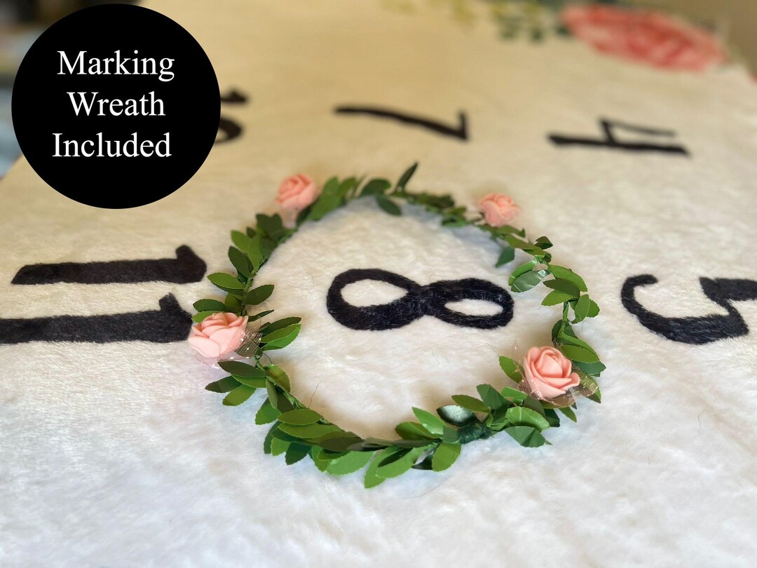 Baby Milestone Marker Ring Floral Wreath Marker Crown Flower Ring Pink ...
