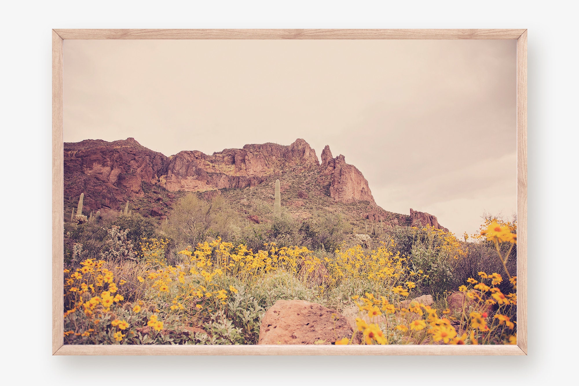 Desert Flower Movie Poster