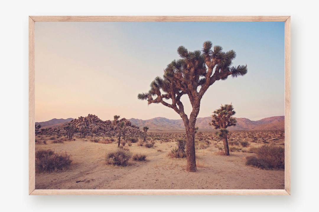 Joshua Tree Print, Desert Photo, Joshua Tree National Park, Desert ...