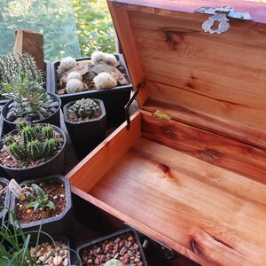 Large Masonic Treasure Box, Carved Solid Wood Chest Box, Vintage Box ...