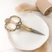 Vintage Gold Scissors Antique Photography Styling Prop - Etsy
