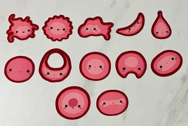 Hematology Red Blood Cells Stickers, Kawaii Sticker, Medical Laboratory ...